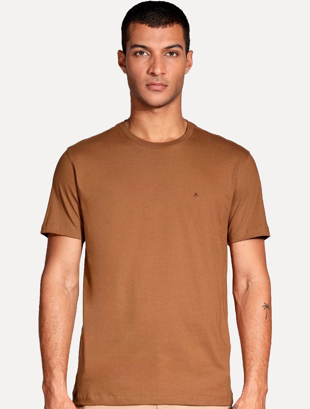 Camiseta Aramis Masculina Basic Lisa Dark Logo Marrom Médio | Secret Outlet