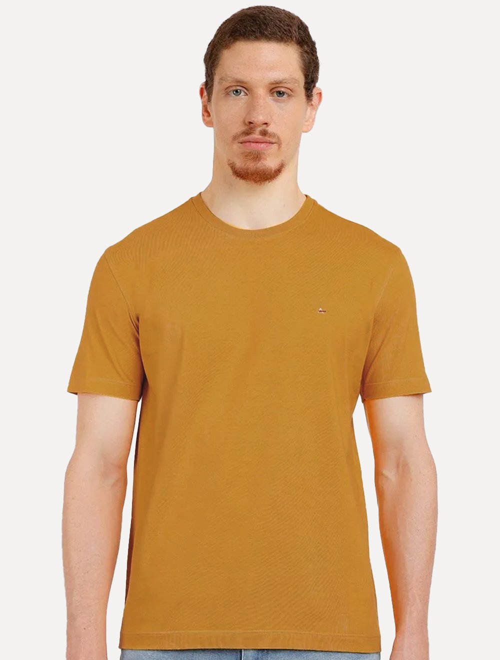 Camiseta Aramis Masculina Basic Lisa Dark Icon Marrom Claro | Secret Outlet