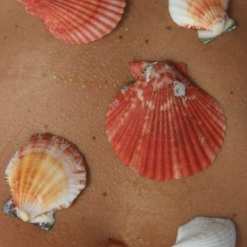 PANÔ | Resortwear Carioca | Moda Feminina Atemporal e Carioca